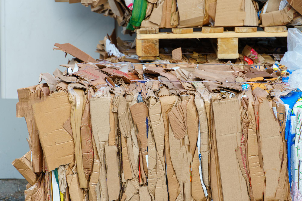 Benefits of Paper and Cardboard Recycling for Your Business
